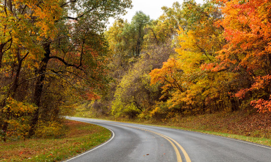 Texas 2023 fall foliage travel destinations, scenic drives, foliage ...