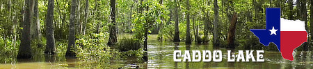 Caddo Lake in East Texas, Caddo Lake State Park, lake location, fishing ...