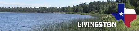 Livingston Texas Travel Information, Lake Livingston, Attractions ...